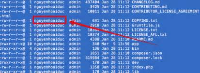 Magento2 Bin Magento Setup Upgrade Not Running Magento Stack Exchange