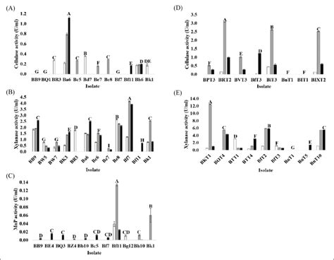 Isolation And Screening Of Potential Lignocellulolytic Microbes From Phra Nakhon Si Ayutthaya