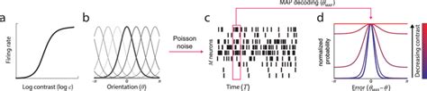 The Population Coding Model A B Stimulus Parameters Were Encoded In