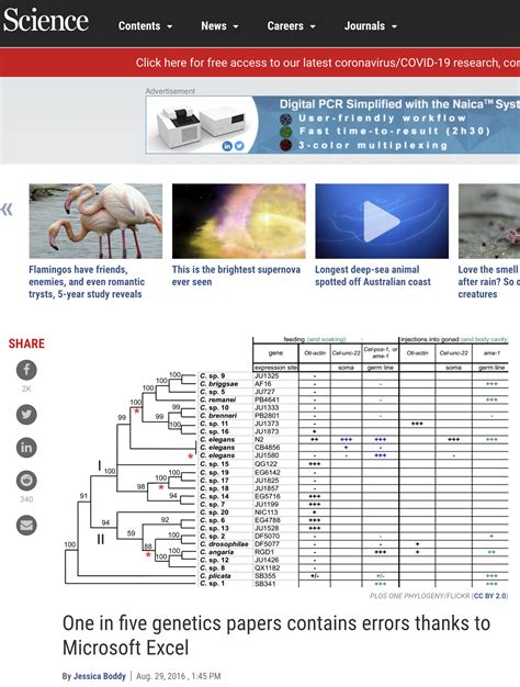 Commonapplicationdata Linux