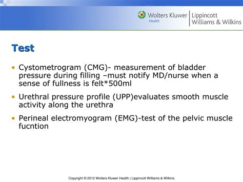 Ppt Chapter 89 Urinary Disorders Powerpoint Presentation Free