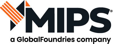 Software Development RISC V