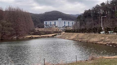 한국외대 글로벌캠퍼스 명수당 네이버 Tv