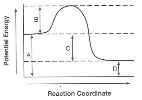 Reversible Reaction Graph