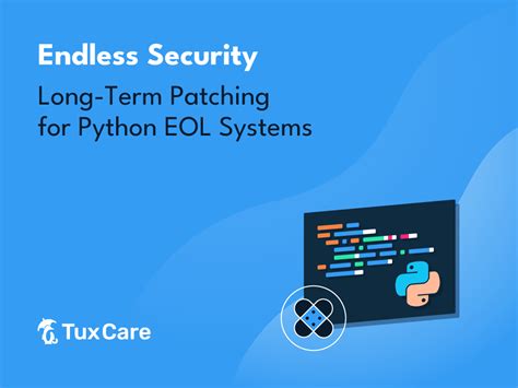Endless Security Long Term Patching For Python Eol Systems