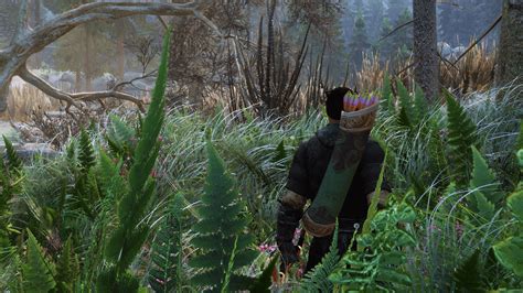 Project Skyrim Wabbajack Modlist On Nexus Taken By Avatarv On Project Skyrim Discord R