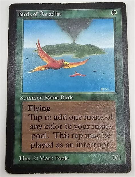 Beta Birds Of Paradise Authenticated Mox Beta