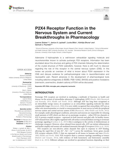 Pdf P2x4 Receptor Function In The Nervous System And Current