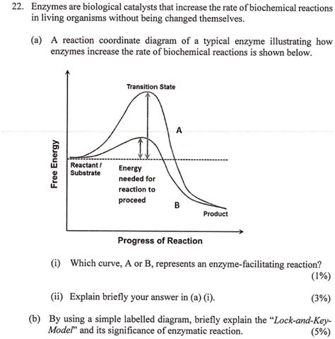Solved 22 Enzymes Are Biological Catalysts That Increase The Rate Of