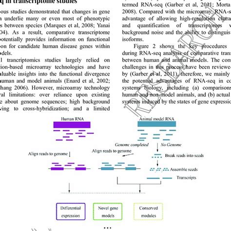 Rna Seq Methods In Comparative Transcriptome Analysis There Are Two
