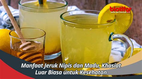 Manfaat Jeruk Nipis Dan Madu Khasiat Luar Biasa Untuk Kesehatan