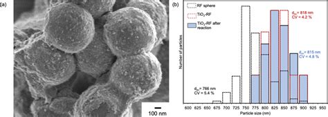 A SEM Image Of TiO RF After Photocatalytic Reaction And B The Download Scientific Diagram
