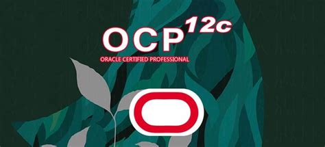 Oracle Dg切换操作 知乎