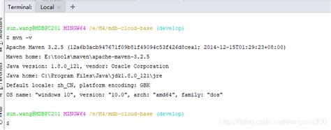 设置idea Terminal窗口为gitbash，非弹窗，并设置使用maven命令 Csdn博客