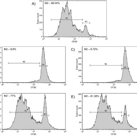 Representative Histograms Showing The Proliferation Pattern Of