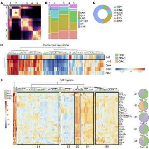 Repeat Rnas Are Coregulated In Discrete Clusters With Satellite Repeat