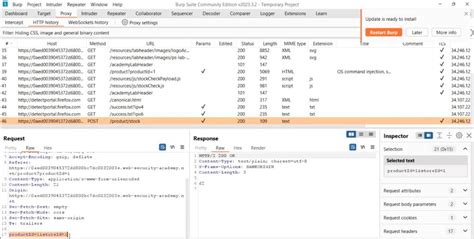 Portswigger Command Injection Vulnerability Os Command