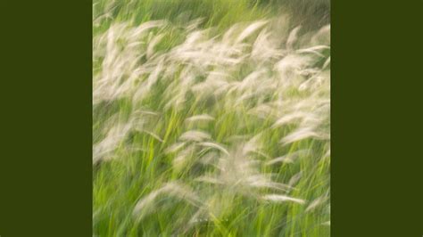 위로받고 싶은 날이에요 Youtube