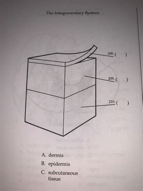 Lesson 6 1 Diagram Quizlet