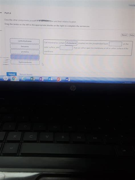 Solved Cell Membrane Contain Cholesterol Inserted Into The Chegg