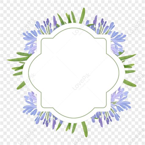 아프리카 백 자 련 수채화 창의 테두리 일러스트 꽃 일러스트잎 봄 축하 틀회화금선 Png 일러스트 무료 다운로드 Lovepik