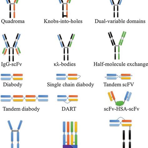 1 Methods To Engineer Bispecific Antibodies Formats Igg Like Molecules
