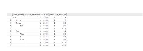Problem With Subtotal And Grand Total Using Group By Rollup Oracle