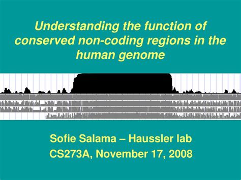 Ppt Understanding The Function Of Conserved Non Coding Regions In The