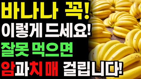 바나나와 함께 먹으면 보약되는 음식3가지와 면역력10배 올리는방법 당뇨 고혈압 변비 싹 사라집니다 Youtube