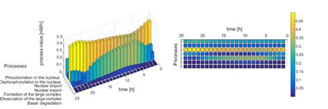 2 a boolean process map b dynamical process map between times t 1