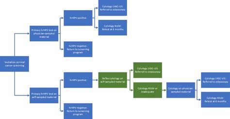 Flowchart Of Possible Screening Algorithm With Additional Triage Of Download Scientific