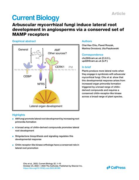Pdf Arbuscular Mycorrhizal Fungi Induce Lateral Root Development In Angiosperms Via A