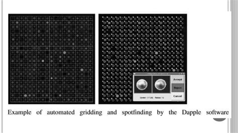 Microarray Technology And Applications Pptx