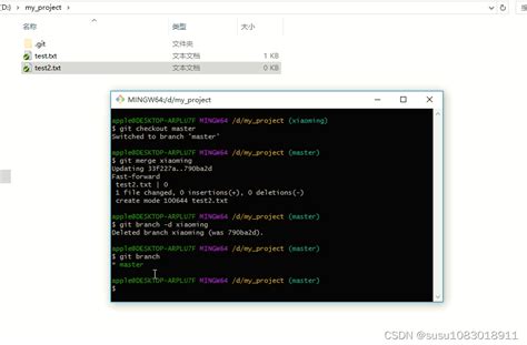 git操作指南：版本切换与分支管理 csdn博客