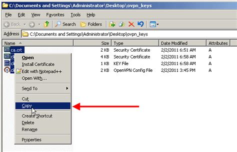 how to connect to the service provider via vpn using smpp openvpn