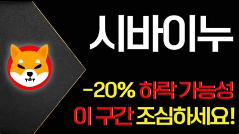 시바이누 20 하락 가능성 이 구간 조심하세요 100 정확한 차트 분석 Youtube