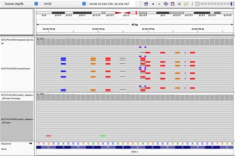 False Positive Indels By Mutect2 Gatk False Positive Indels By Mutect2 Gatk