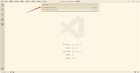 【golang 系列教程】第4节 Vs Code 配置 Go 语言开发环境 高梁golang教程网