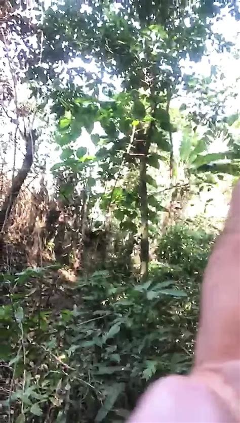 Vídeos Gay De Porno Dominicanas Xhamster