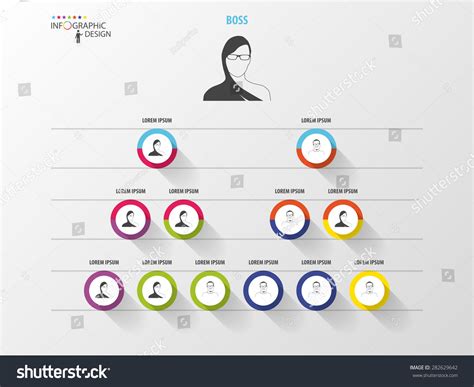 Business Structure Organisation Chart Infographic Design Stock Vector Royalty Free