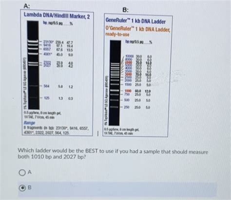 Answered B Lambda Dna Hindlll Marker 2… Bartleby