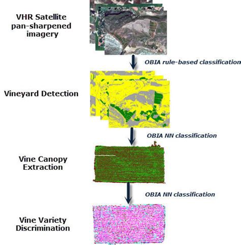 remote sensing free full text vineyard detection and vine variety