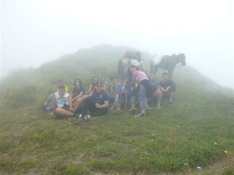 ტობავარჩხილი