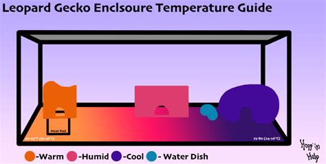 Leopard Gecko Temperature Gradient at Jim Cruz blog