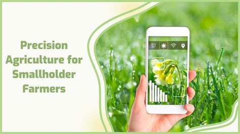 Smallholder Agriculture