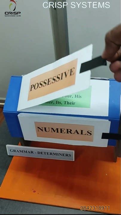 English Working Model On Determiners School Project Grammar Working Project English Project