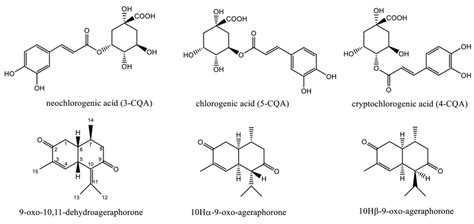 Chemical Structures Of Mono Caffeoylquinic Acid Mono Cqas And