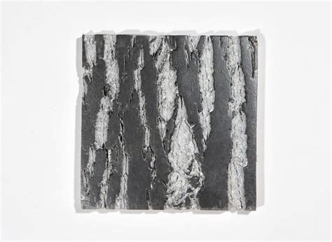 Poplar Bark Interior Wall Tiles Bark House®