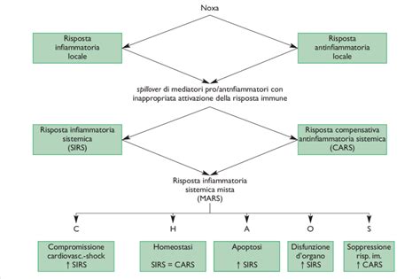 Algoritmo Di Rc Bone 2 Download Scientific Diagram Algoritmo Di Rc Bone 2 Download Scientific Diagram