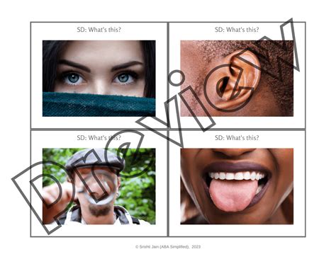 VB MAPP Aligned Task Cards Tact Level 1 Made By Teachers